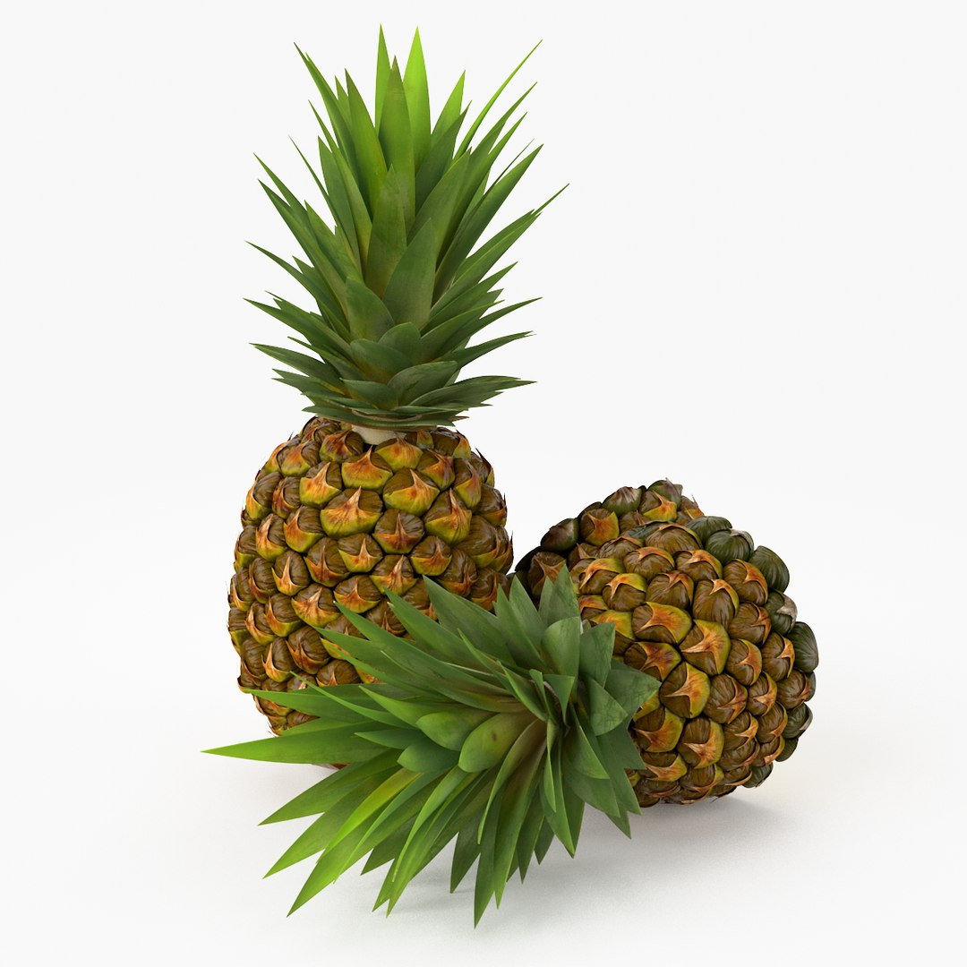 Realistic Pineapple Real Fruit Max