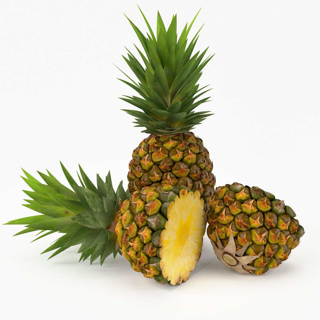 realistic pineapple real fruit max