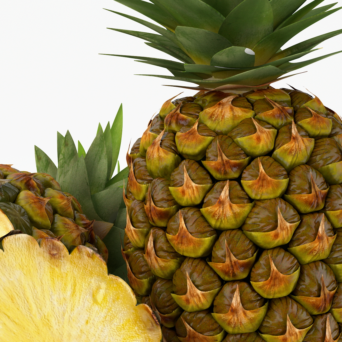 realistic pineapple real fruit max