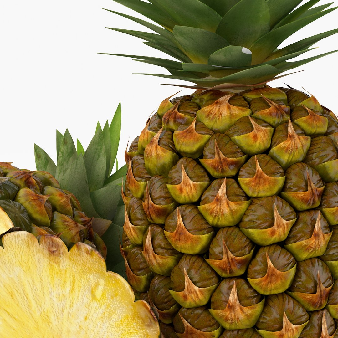 Realistic Pineapple Real Fruit Max