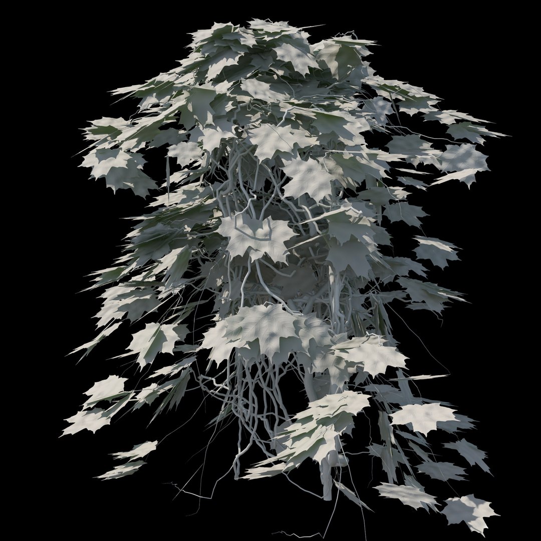 3D Realistic Ivy Plant Model - TurboSquid 1151847