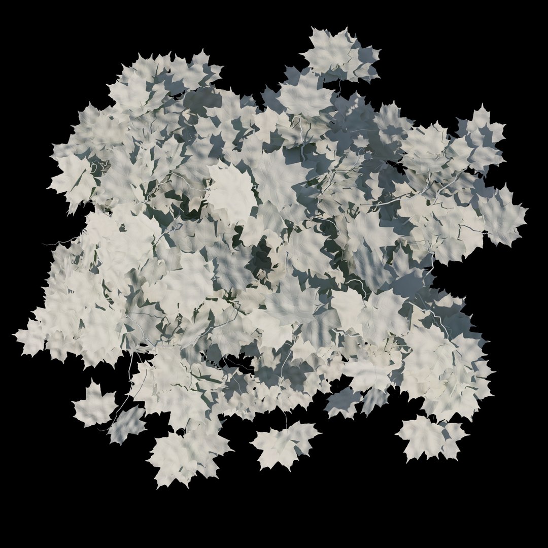 3D Realistic Ivy Plant Model - TurboSquid 1151847