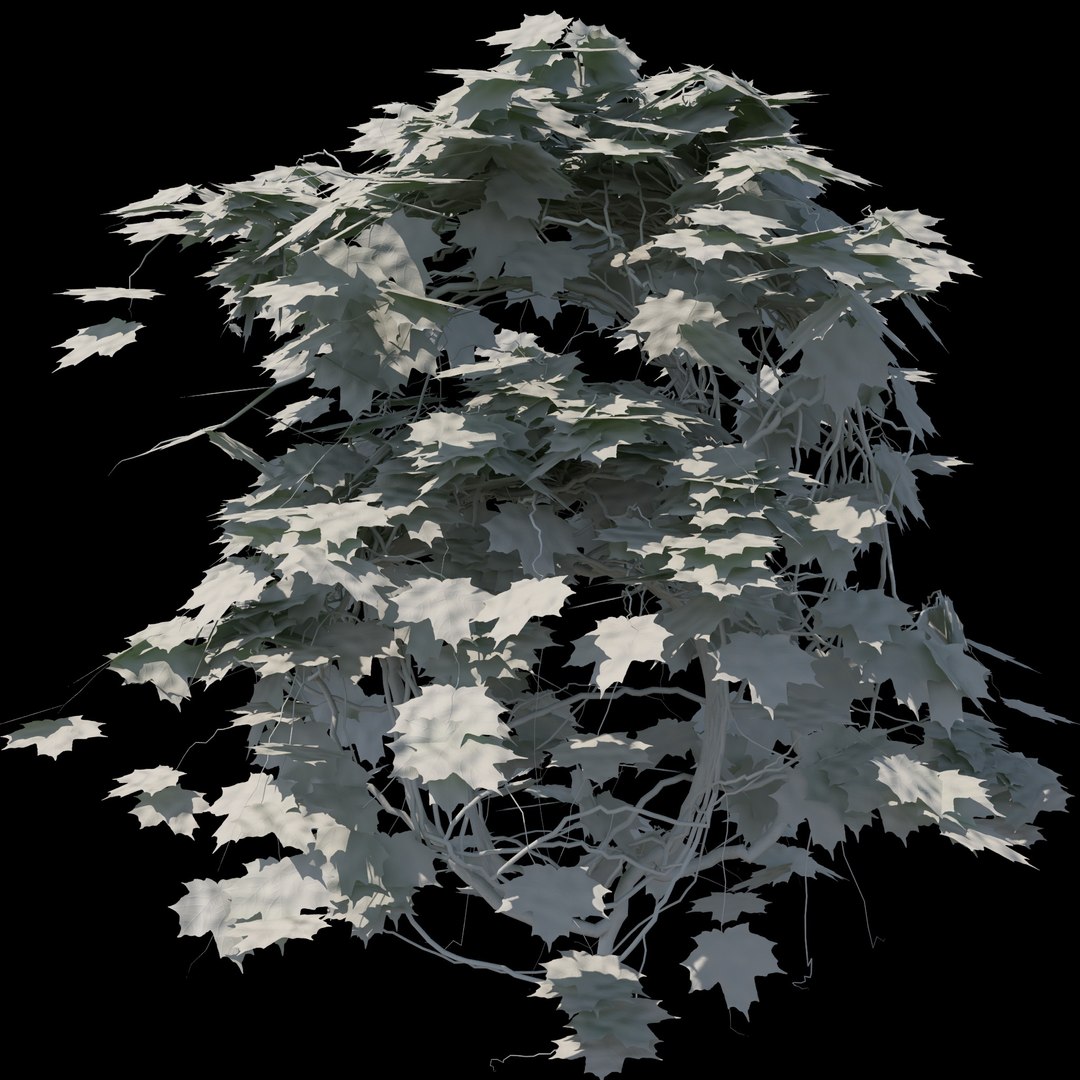 3D Realistic Ivy Plant Model - TurboSquid 1151847