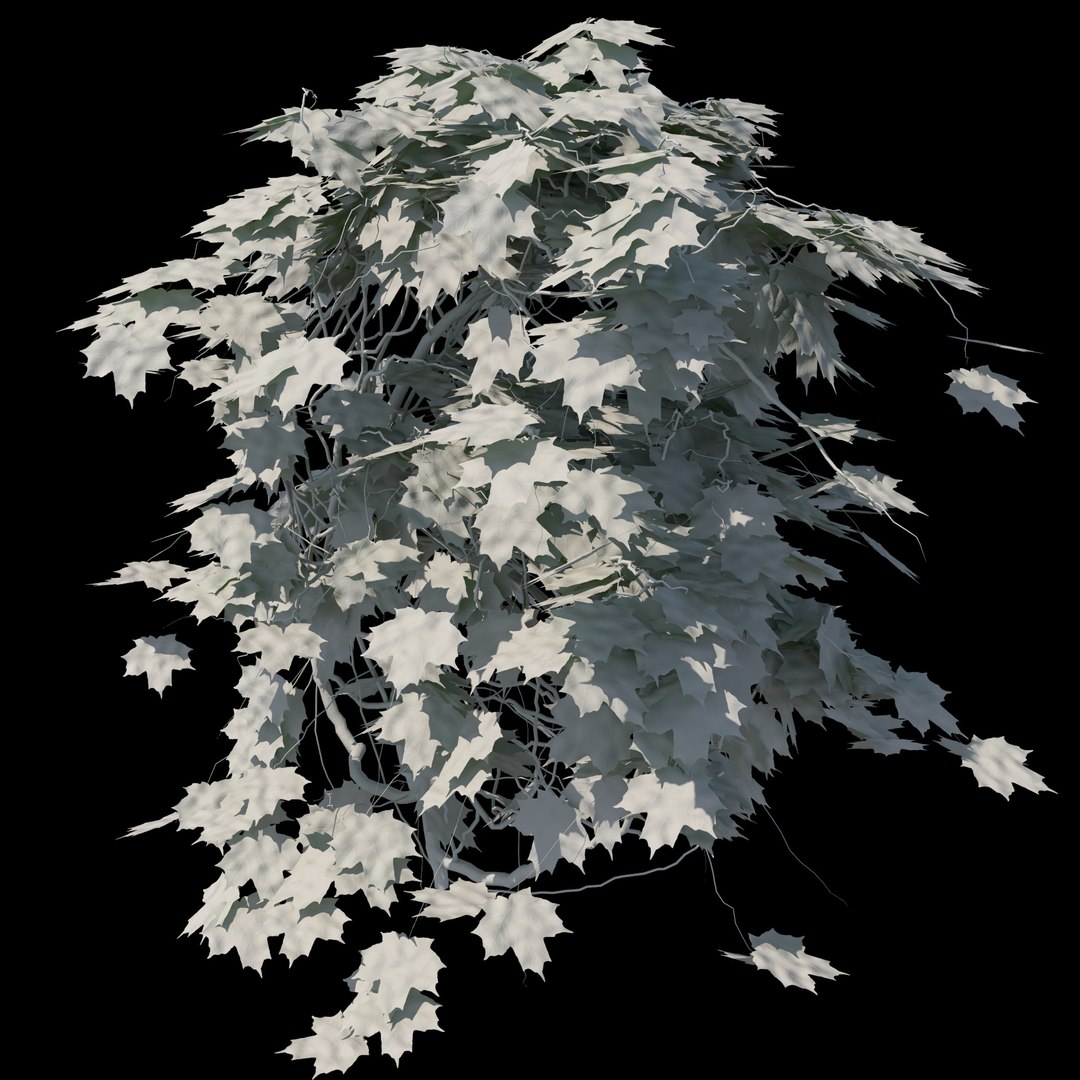 3D Realistic Ivy Plant Model - TurboSquid 1151847