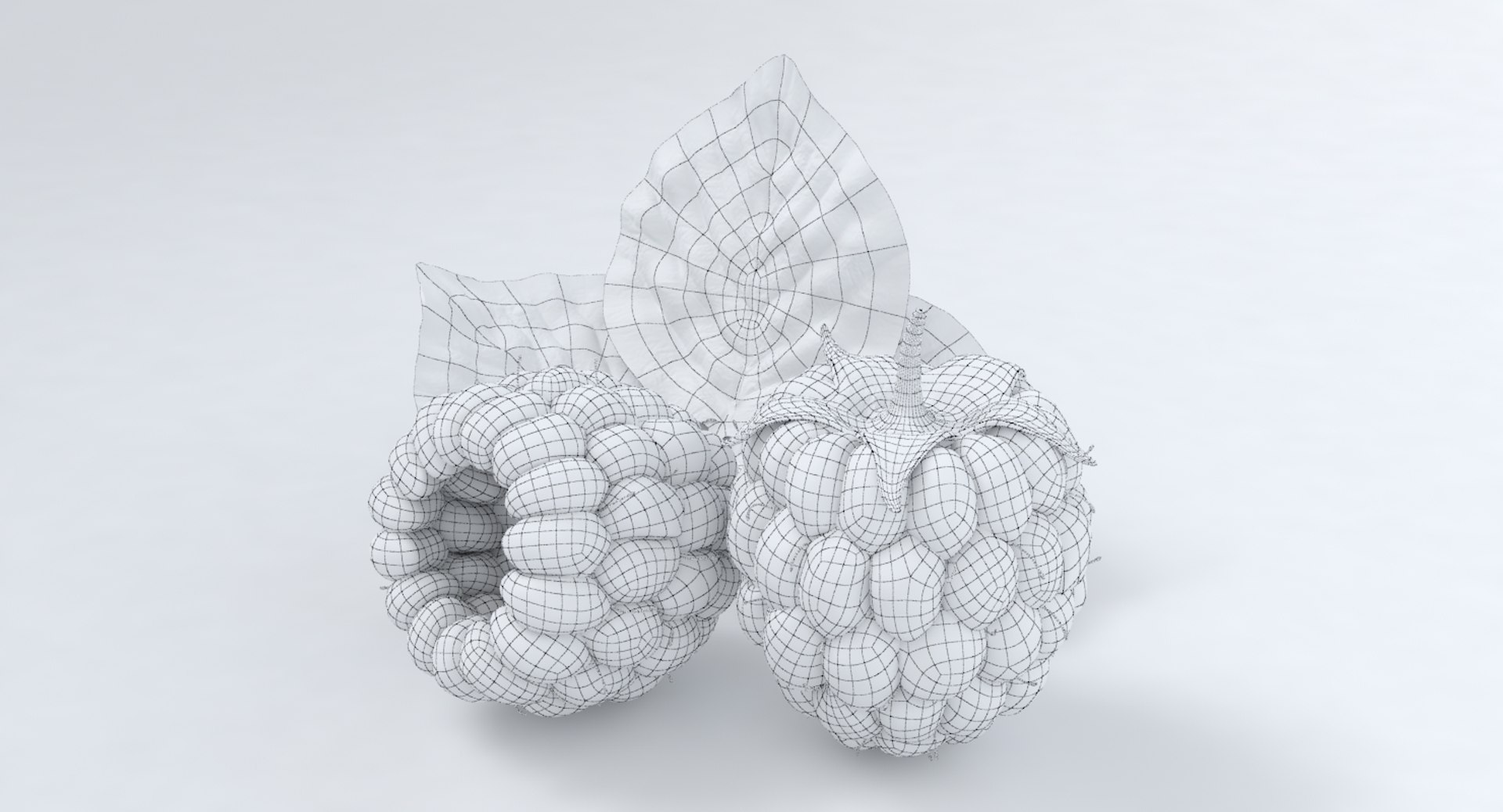 Raspberry Fruit 3D Model - TurboSquid 1262056