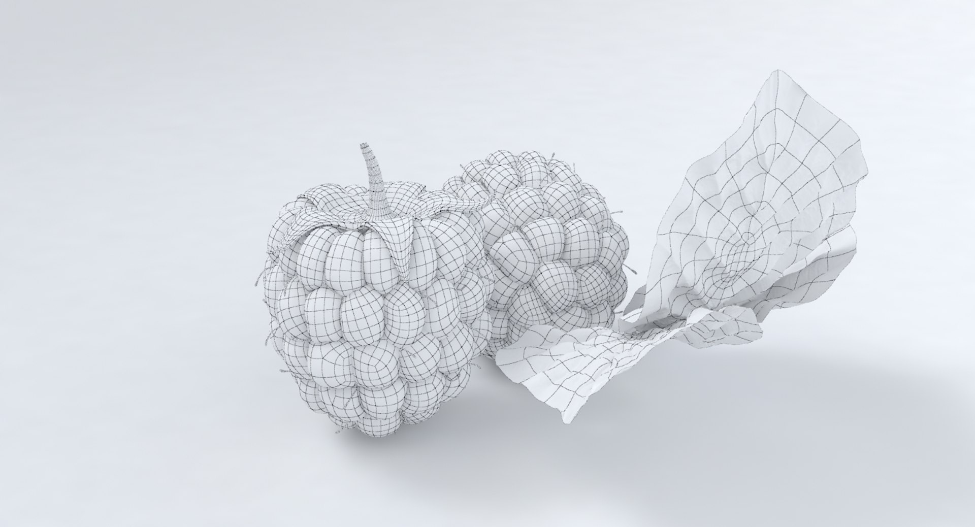 Raspberry Fruit 3D Model - TurboSquid 1262056