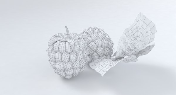 Raspberry fruit 3D model - TurboSquid 1262056