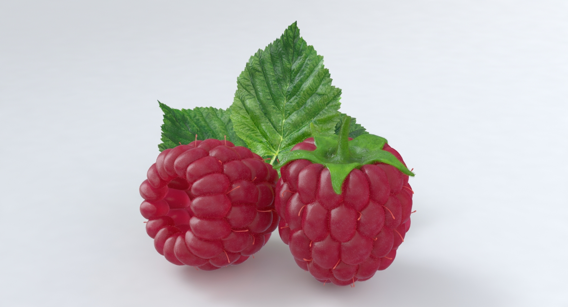 Raspberry Fruit 3D Model - TurboSquid 1262056