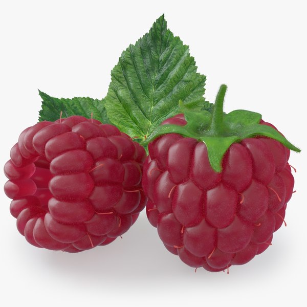 Raspberry fruit 3D model - TurboSquid 1262056