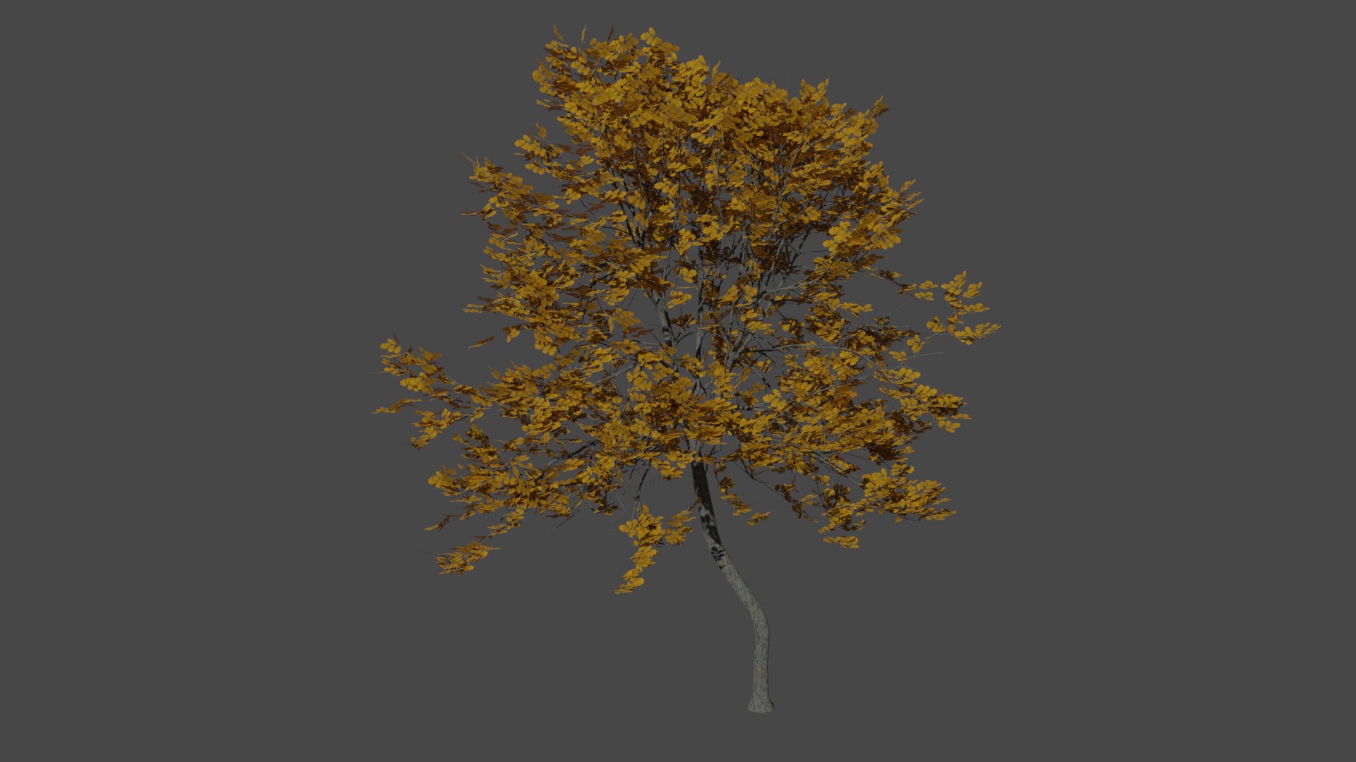 Tree Leaf 3D Model - TurboSquid 1614376