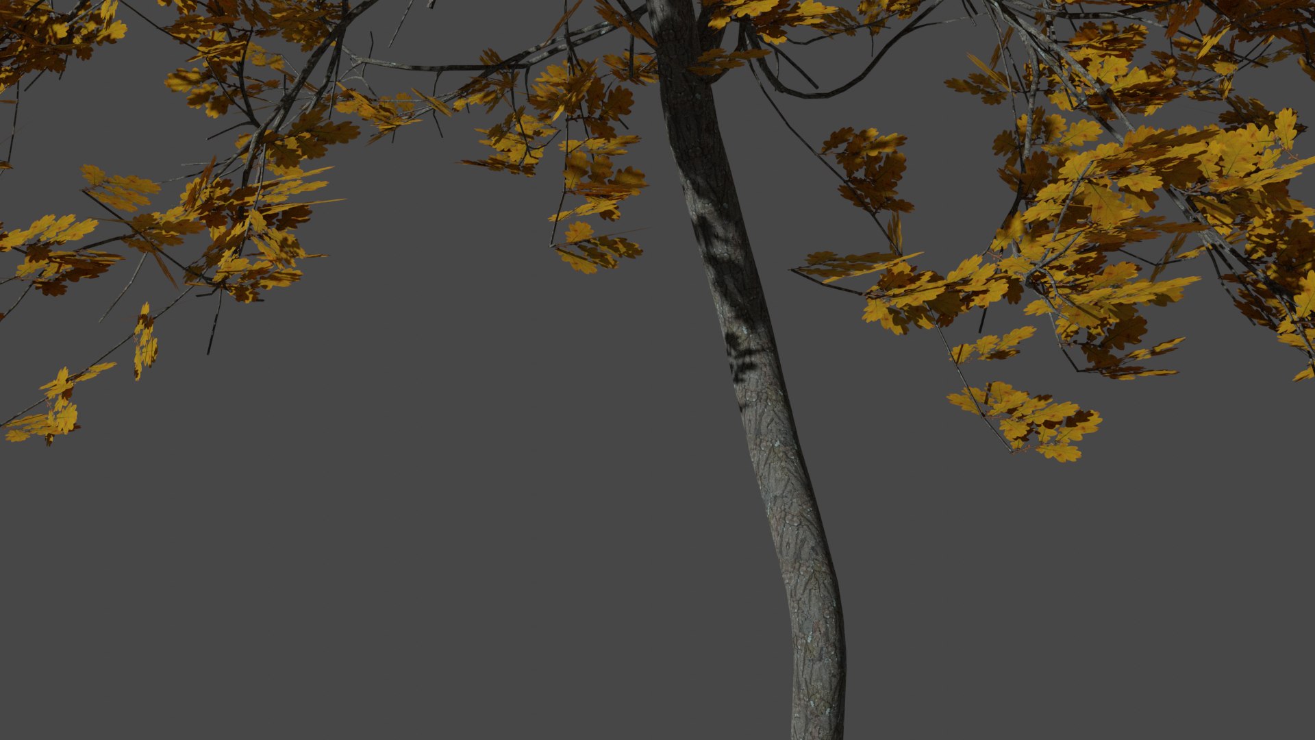 Tree Leaf 3D Model - TurboSquid 1614376