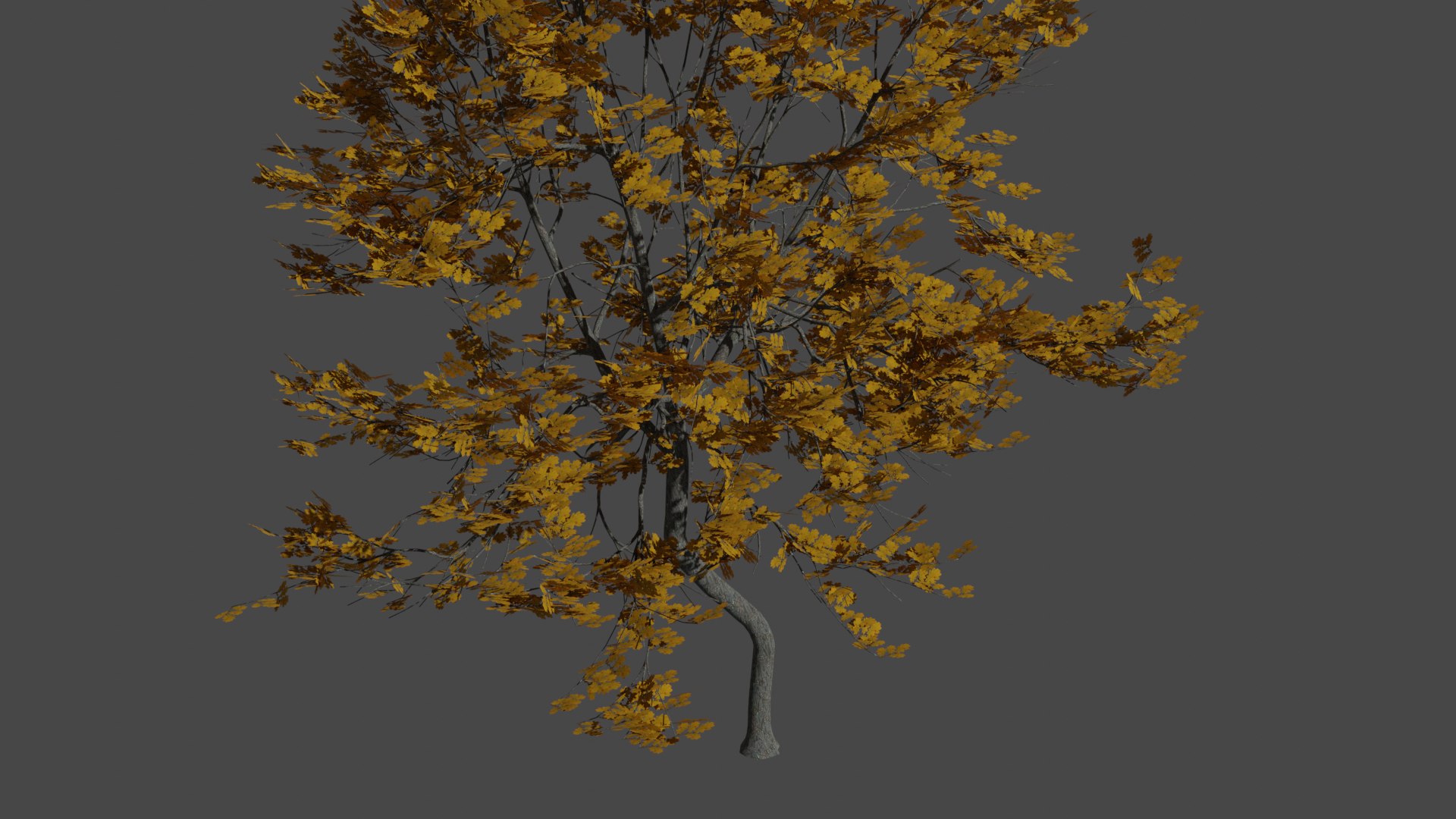 Tree Leaf 3D Model - TurboSquid 1614376
