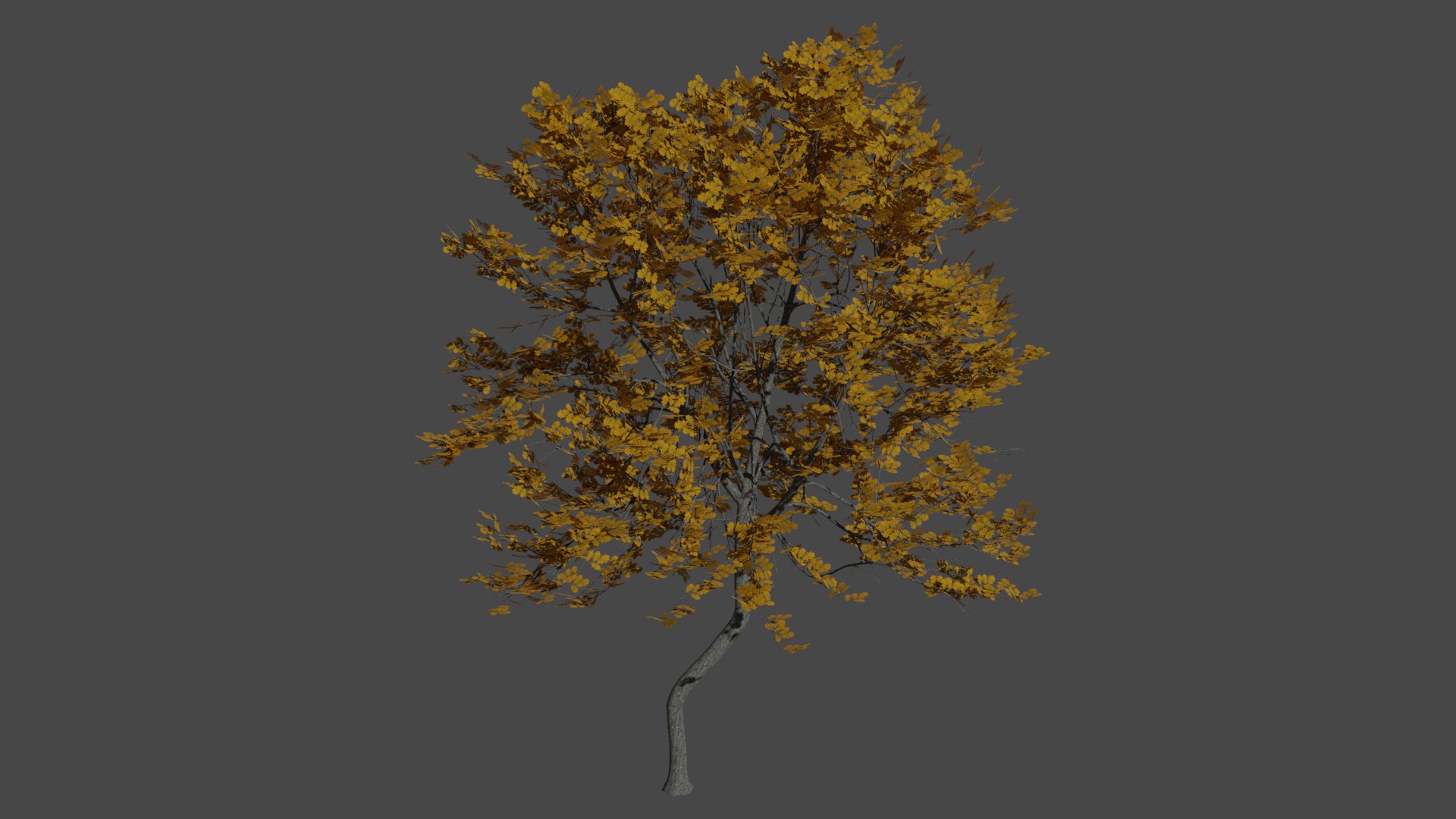 Tree Leaf 3D Model - TurboSquid 1614376