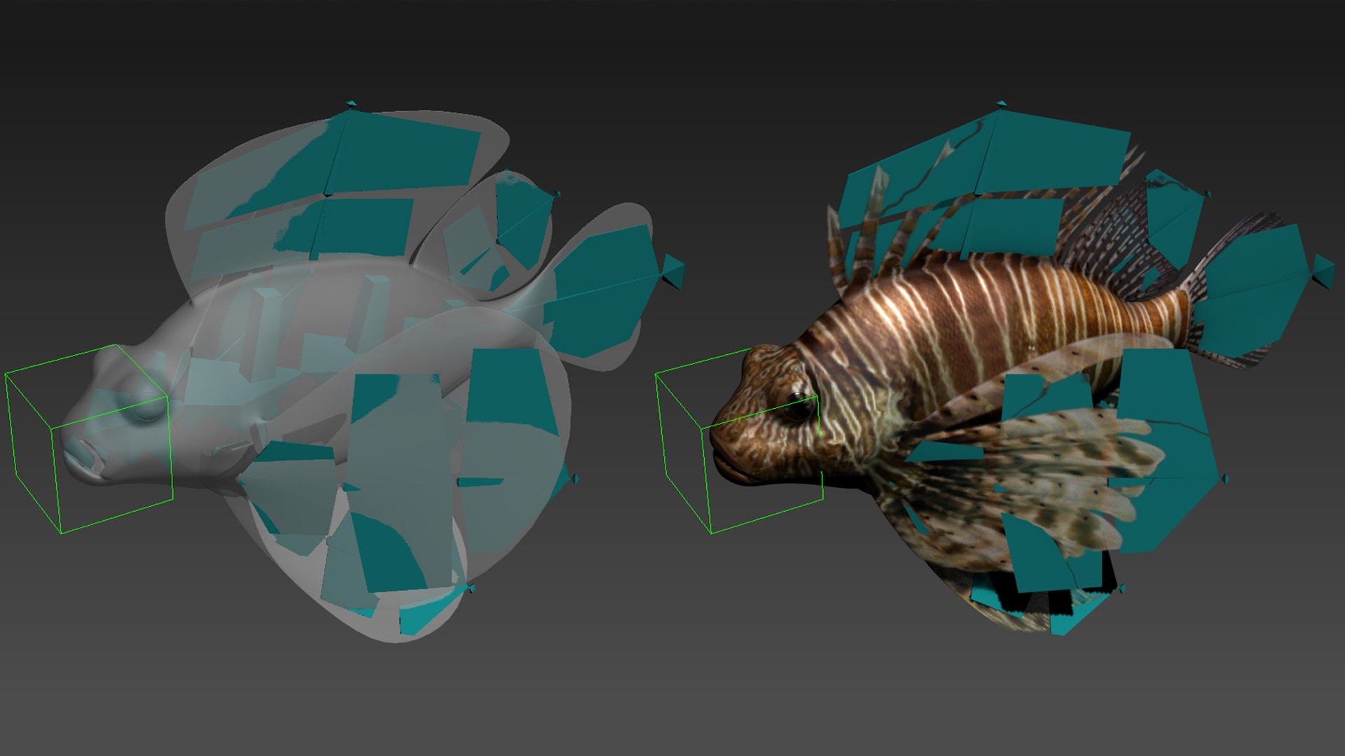 Lionfish Animation 3D Model - TurboSquid 1504092