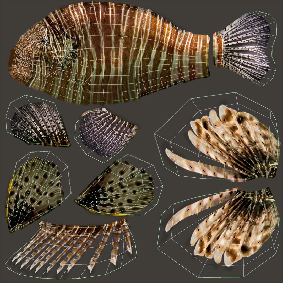 Lionfish animation 3D model - TurboSquid 1504092