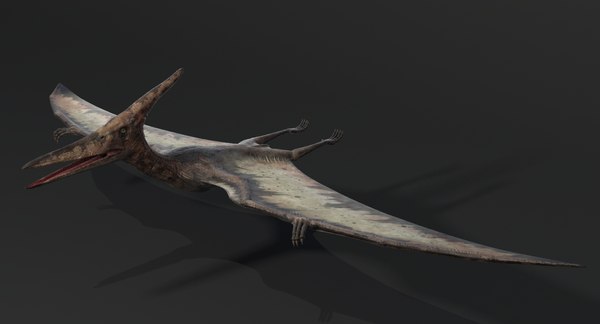 3d model of realistic pteranodon