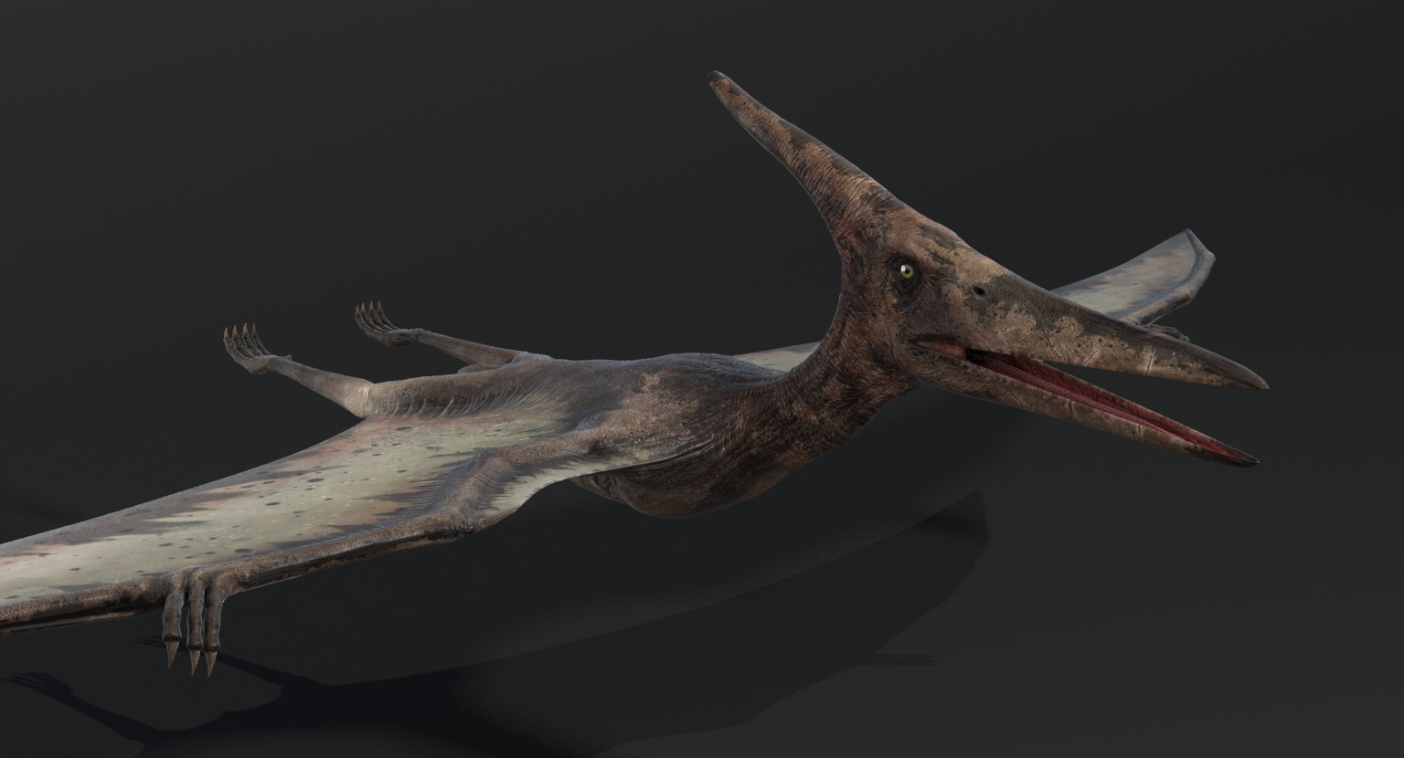 3d model of realistic pteranodon