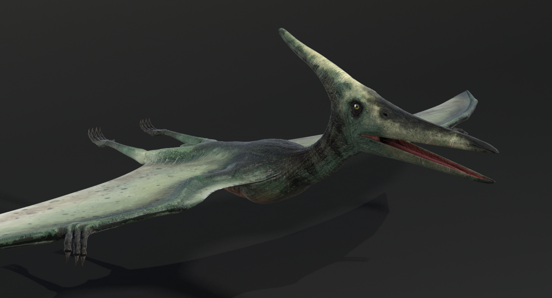 3d model of realistic pteranodon