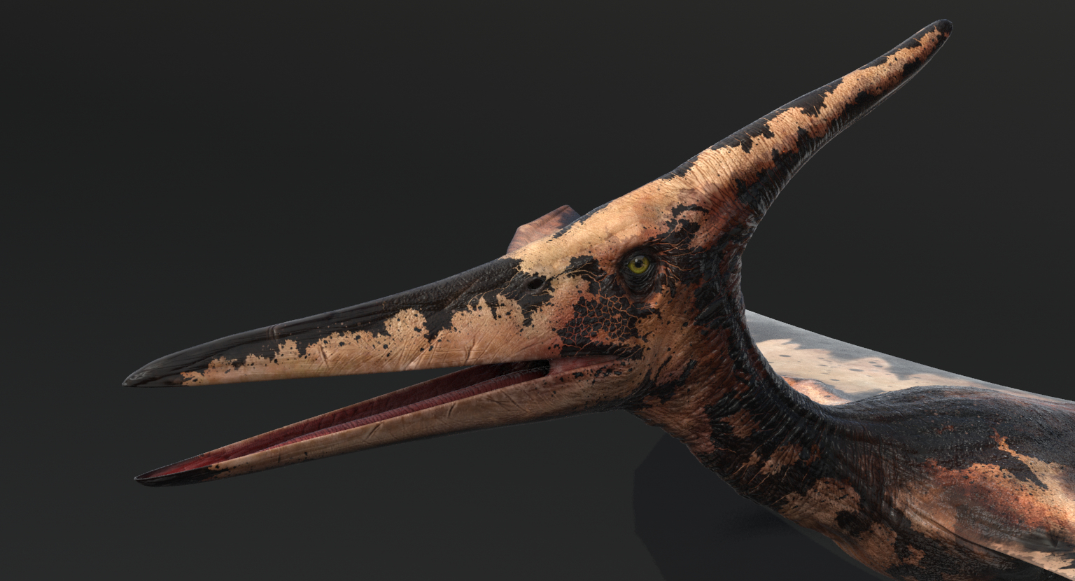 3d model of realistic pteranodon