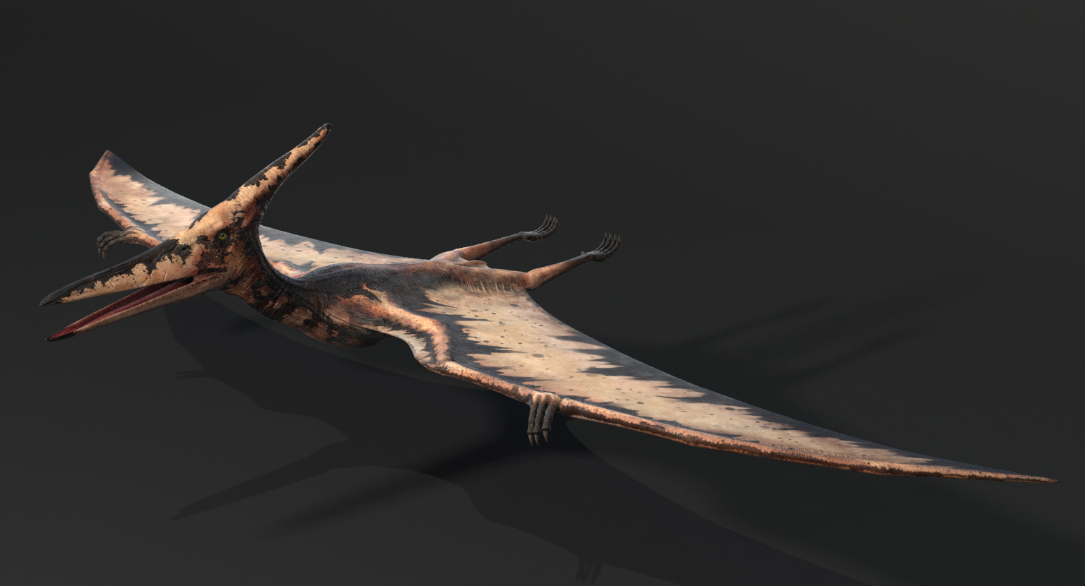 3d model of realistic pteranodon
