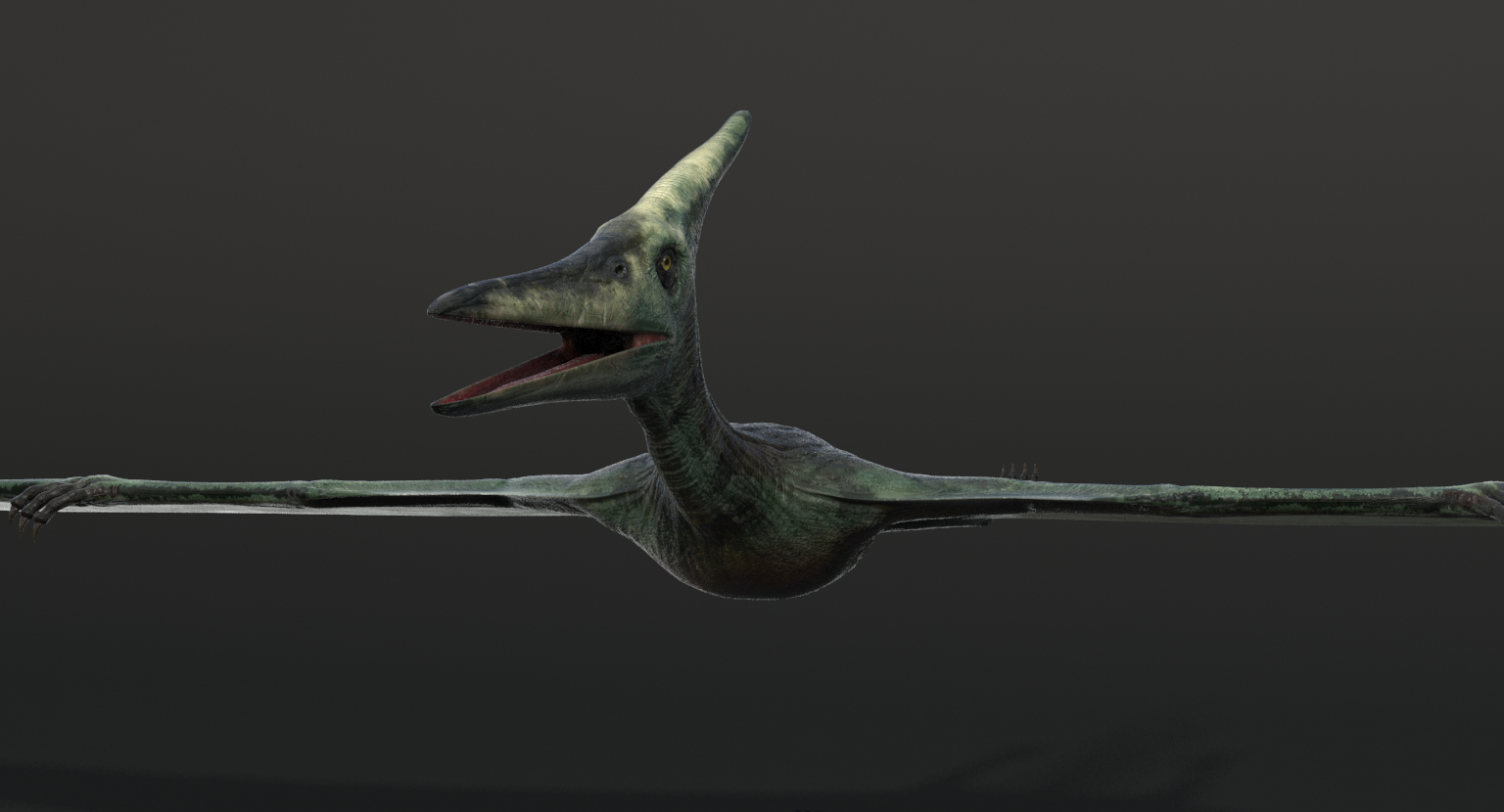 3d model of realistic pteranodon