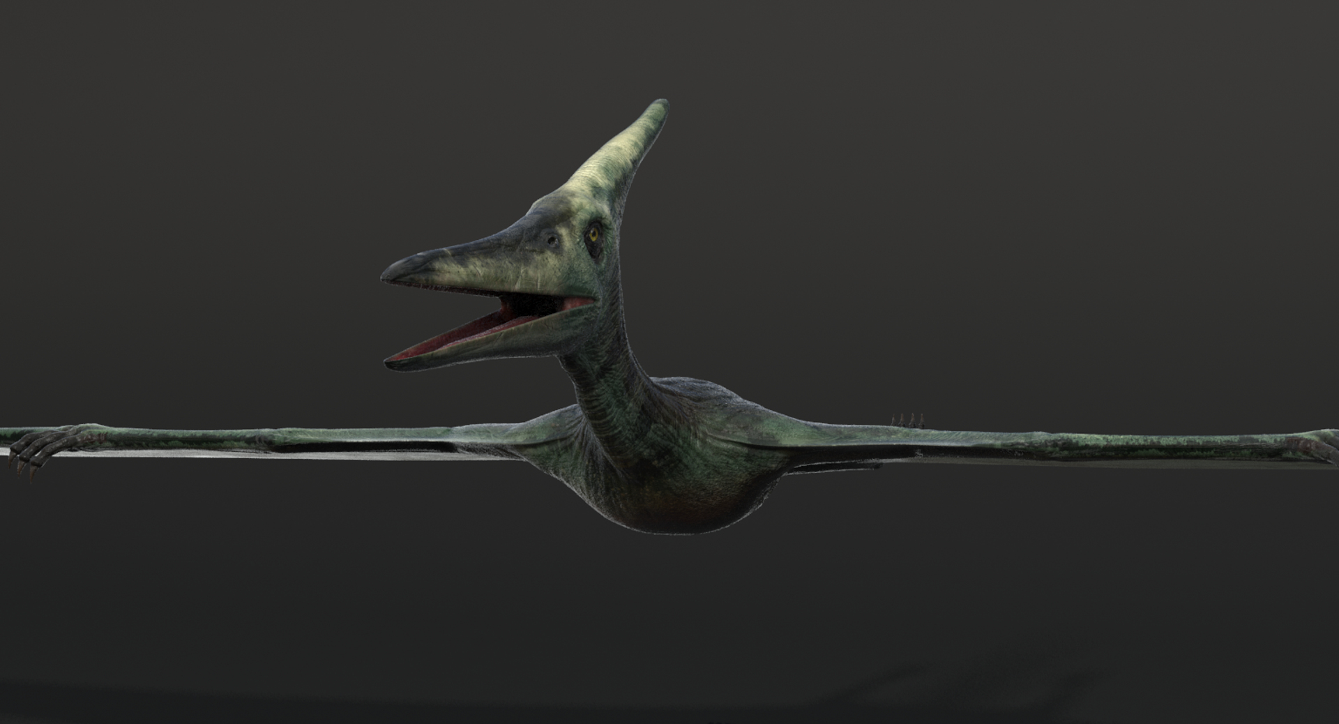 3d model of realistic pteranodon