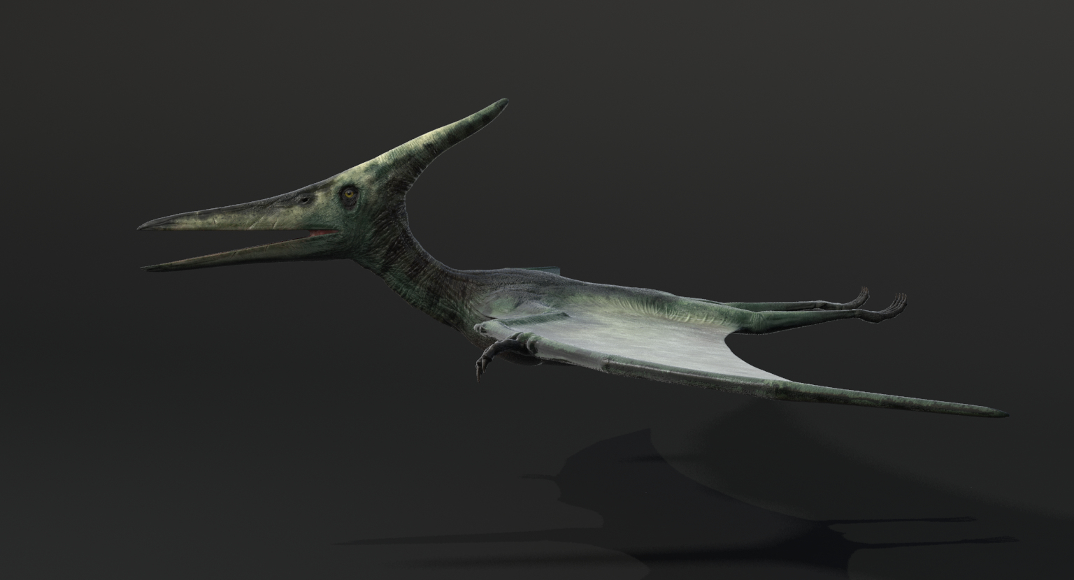 3d model of realistic pteranodon