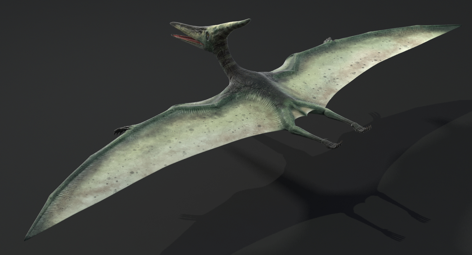 3d model of realistic pteranodon