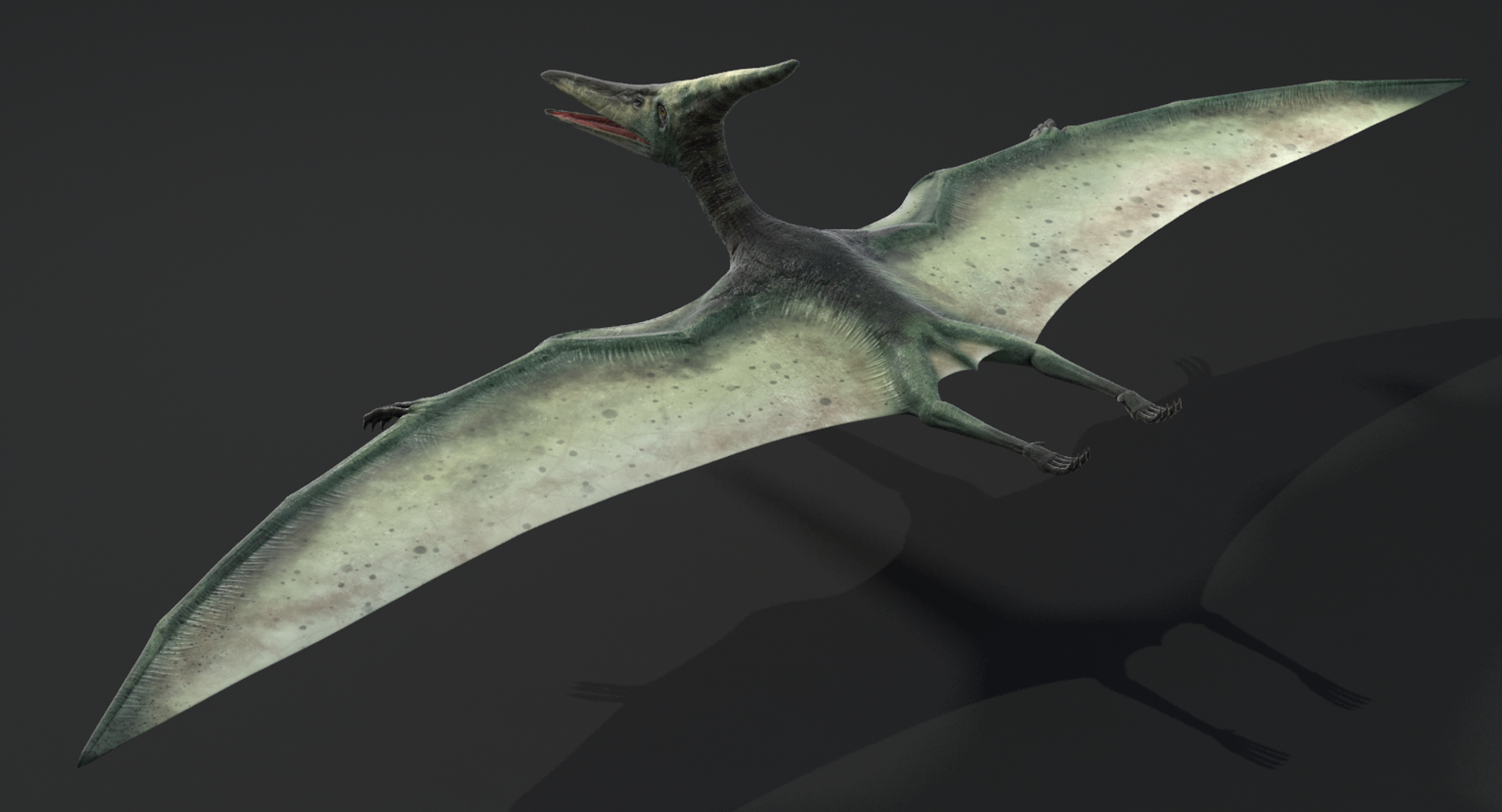 3d model of realistic pteranodon