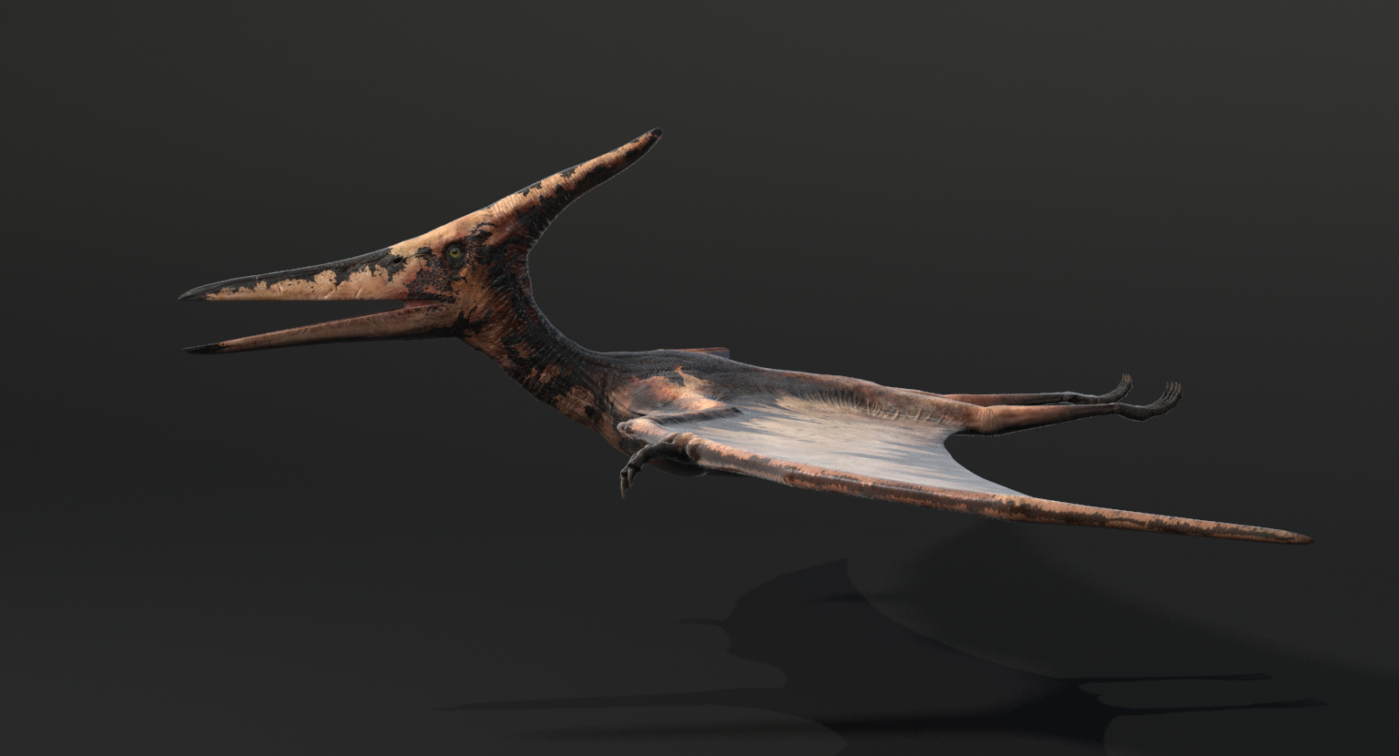 3d model of realistic pteranodon