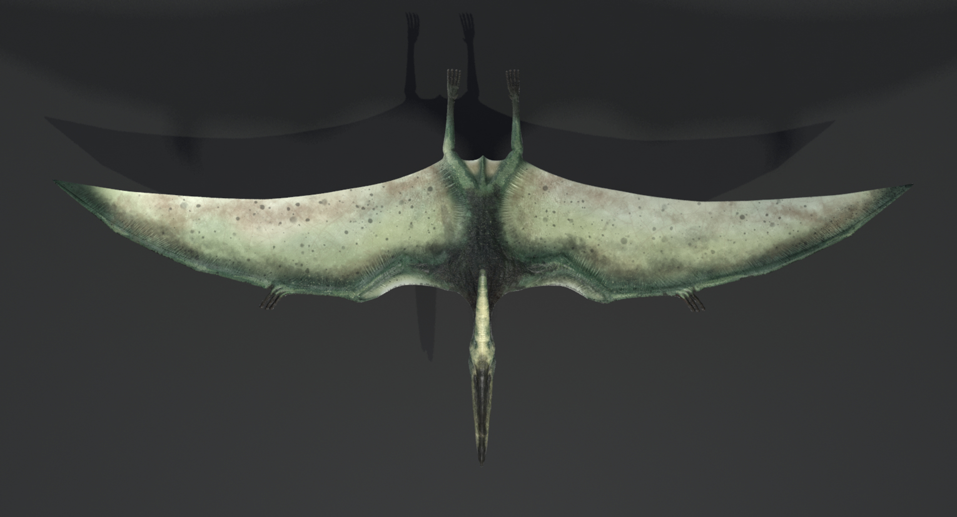 3d model of realistic pteranodon