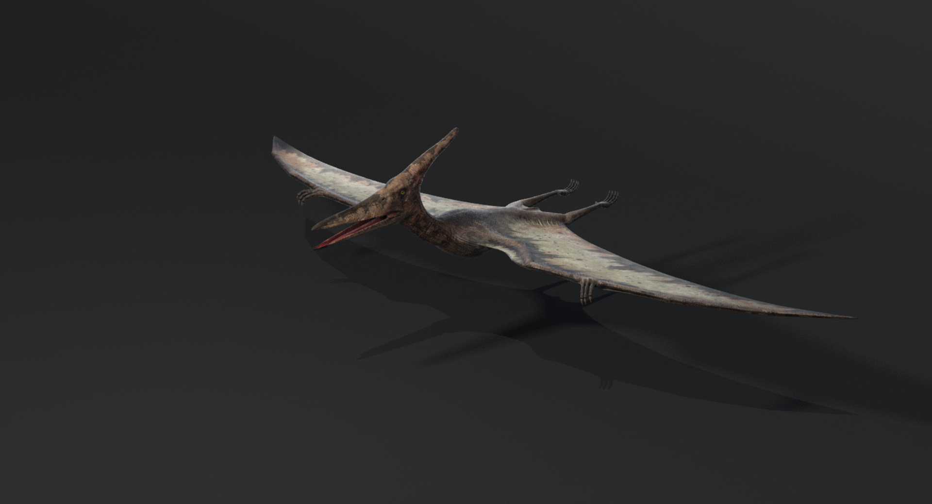 3d Model Of Realistic Pteranodon