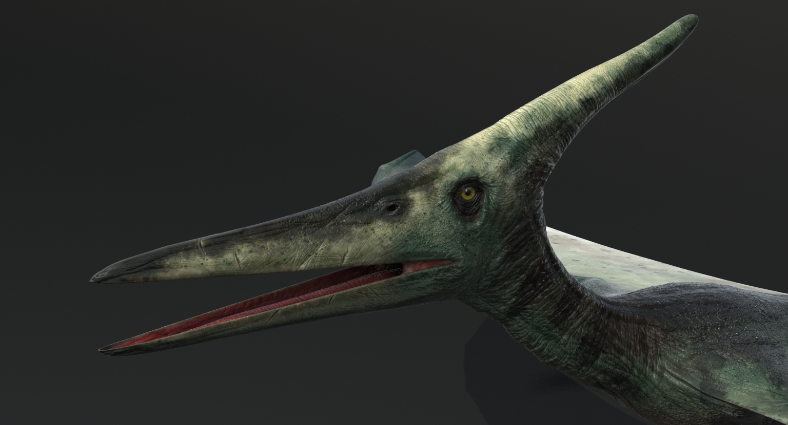 3d model of realistic pteranodon