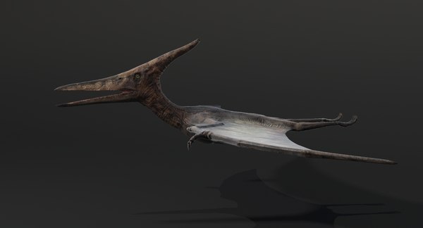 3d model of realistic pteranodon