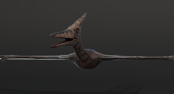 3d model of realistic pteranodon