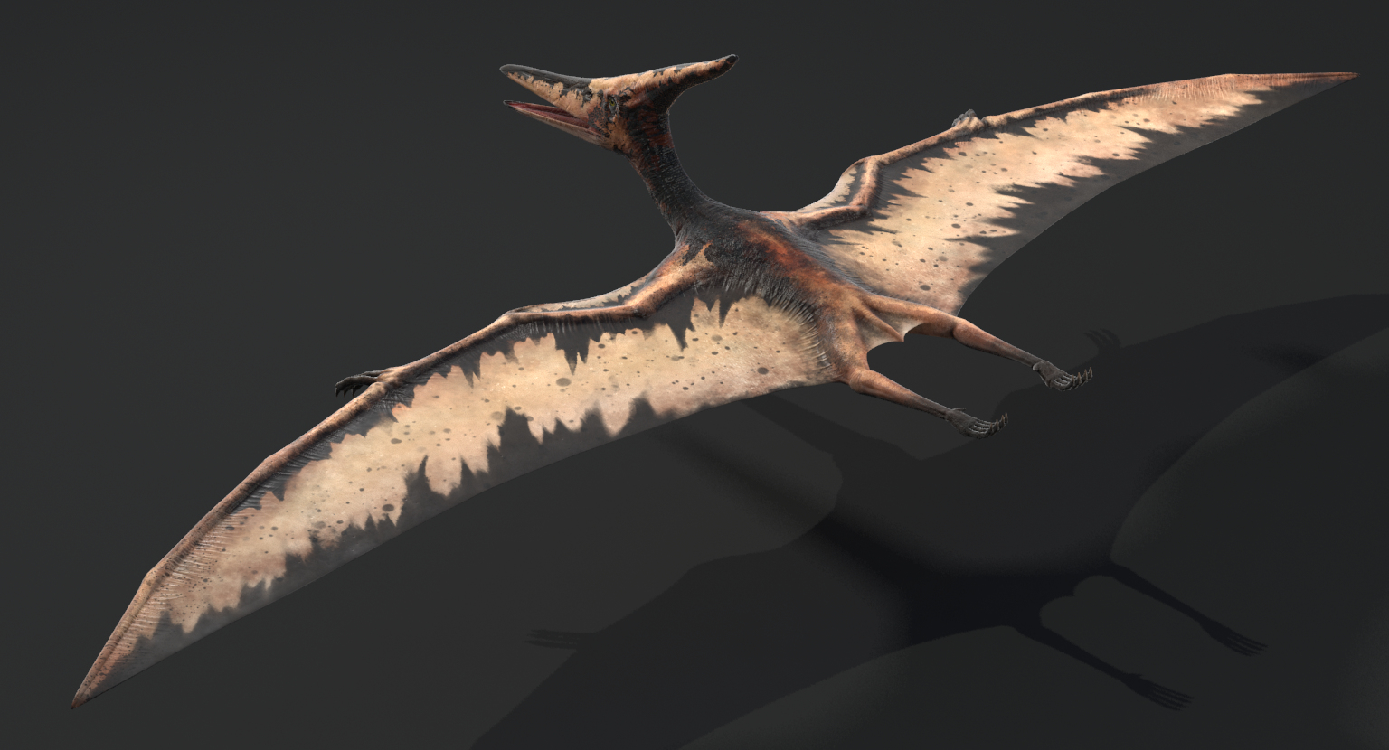 3d model of realistic pteranodon