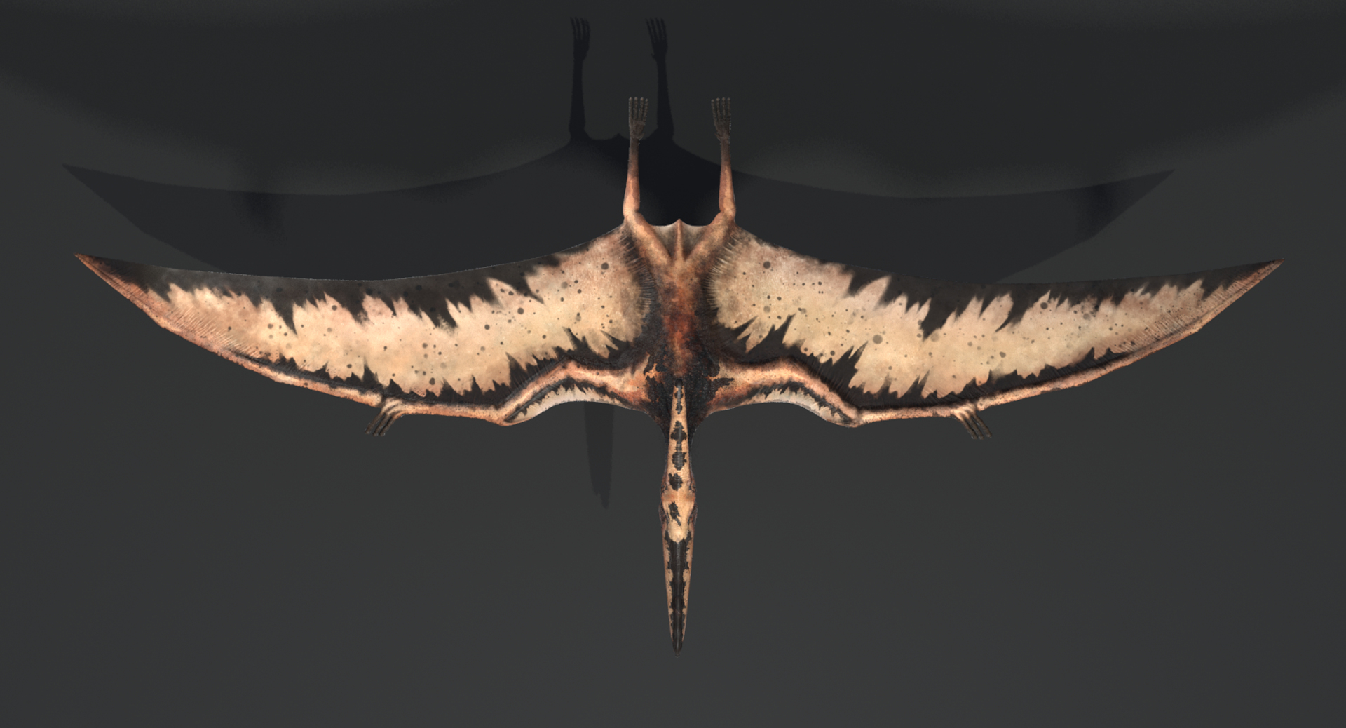 3d model of realistic pteranodon