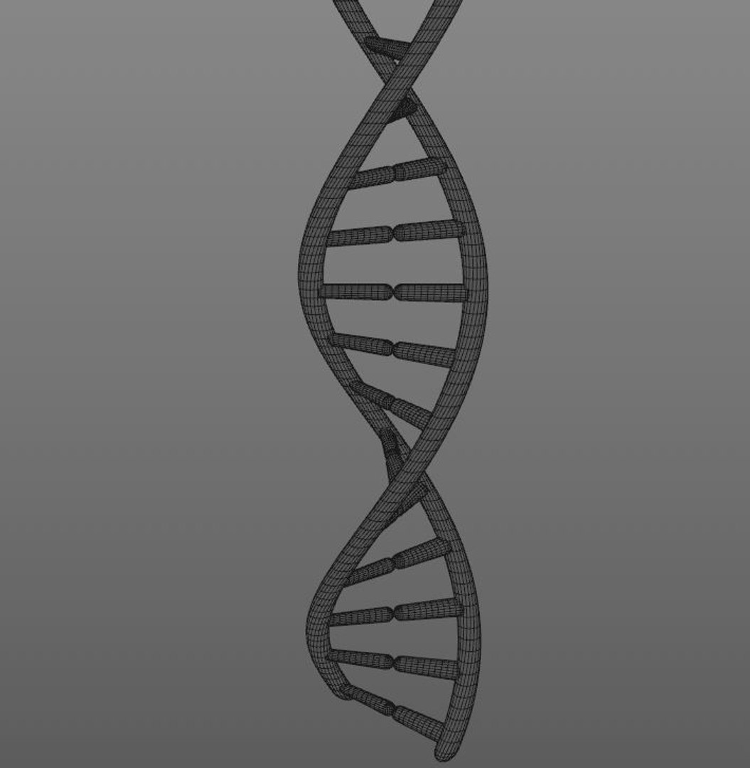 Dna 3D - TurboSquid 1492132