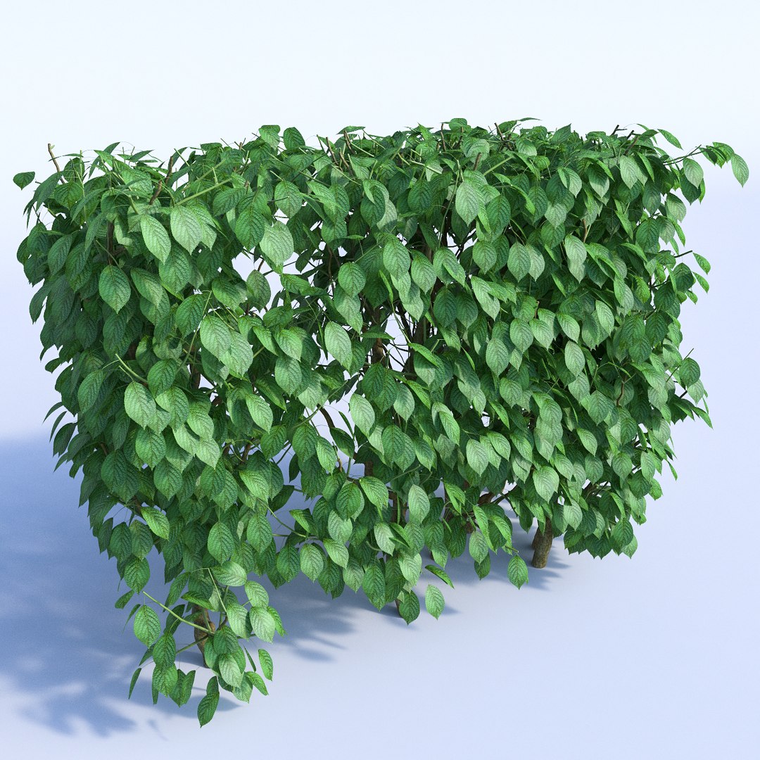 Set Bushes 1 3d Model