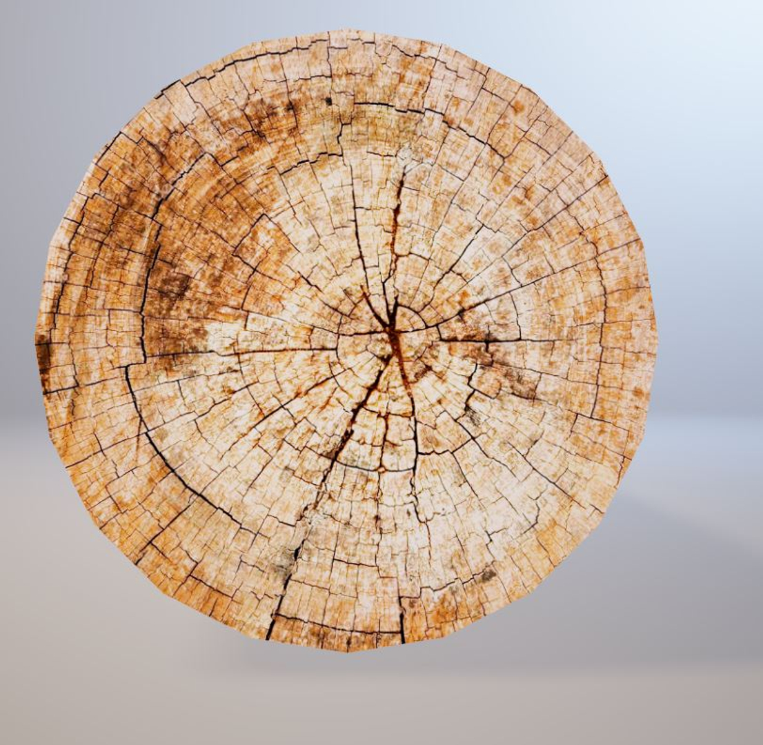 3D wooden log model - TurboSquid 1261013