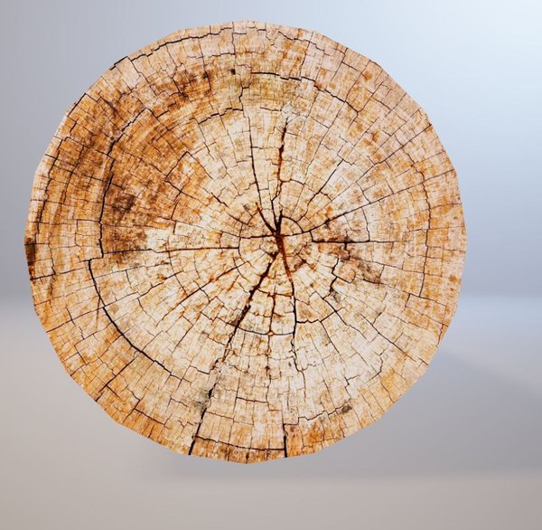 3D wooden log model - TurboSquid 1261013