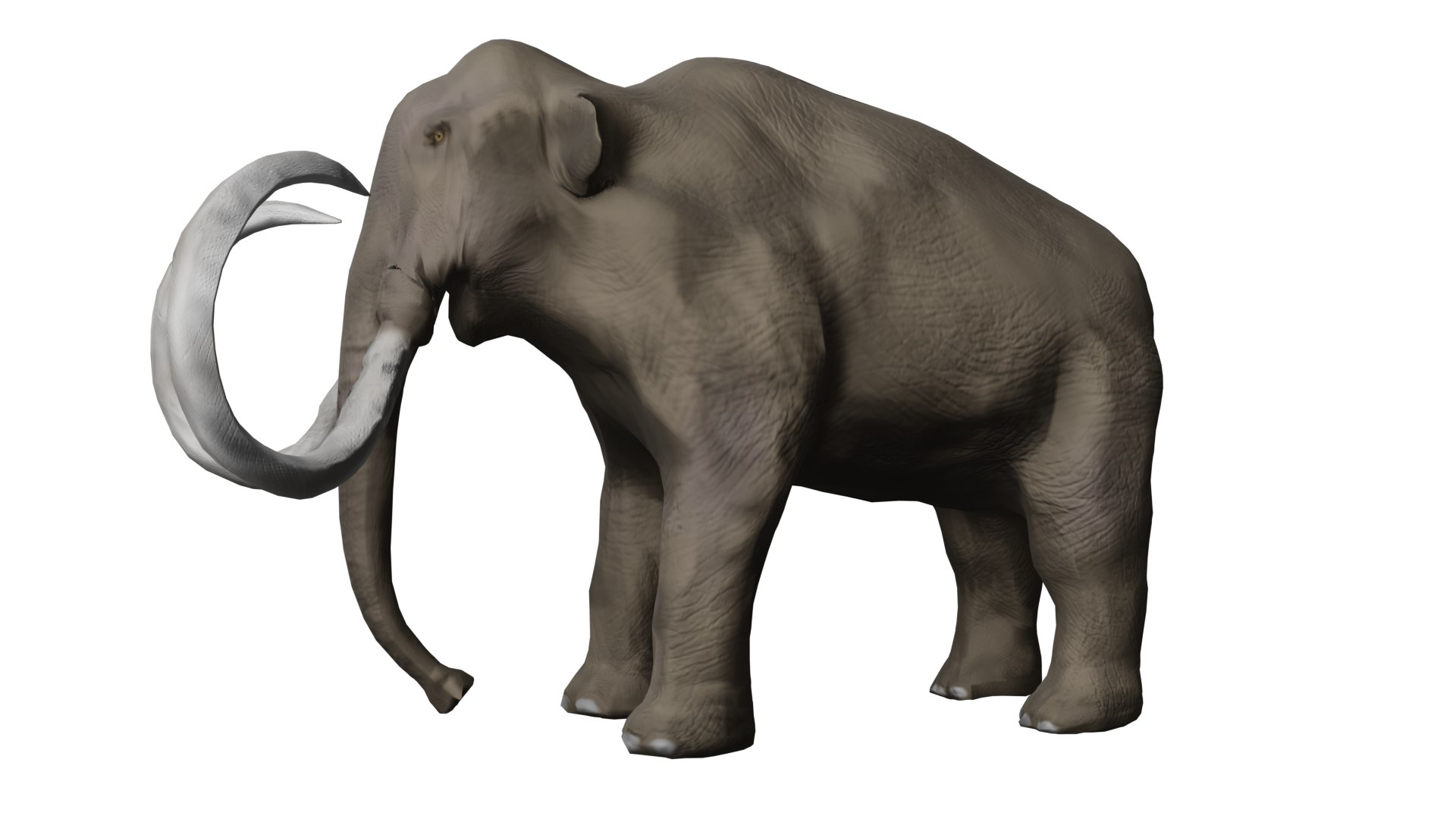 Columbian Mammoth 3D Model - TurboSquid 1801040