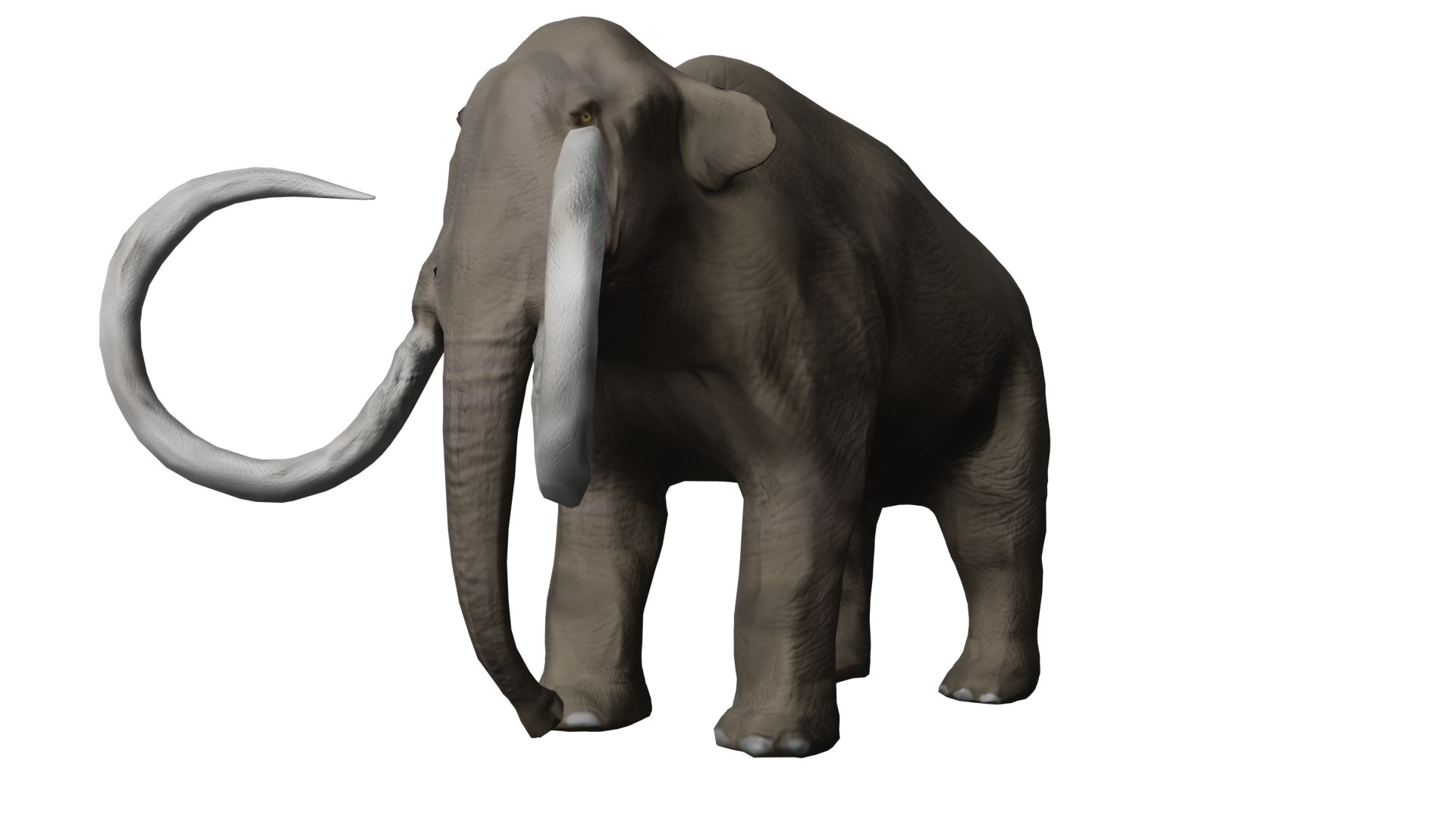 Columbian Mammoth 3D Model - TurboSquid 1801040