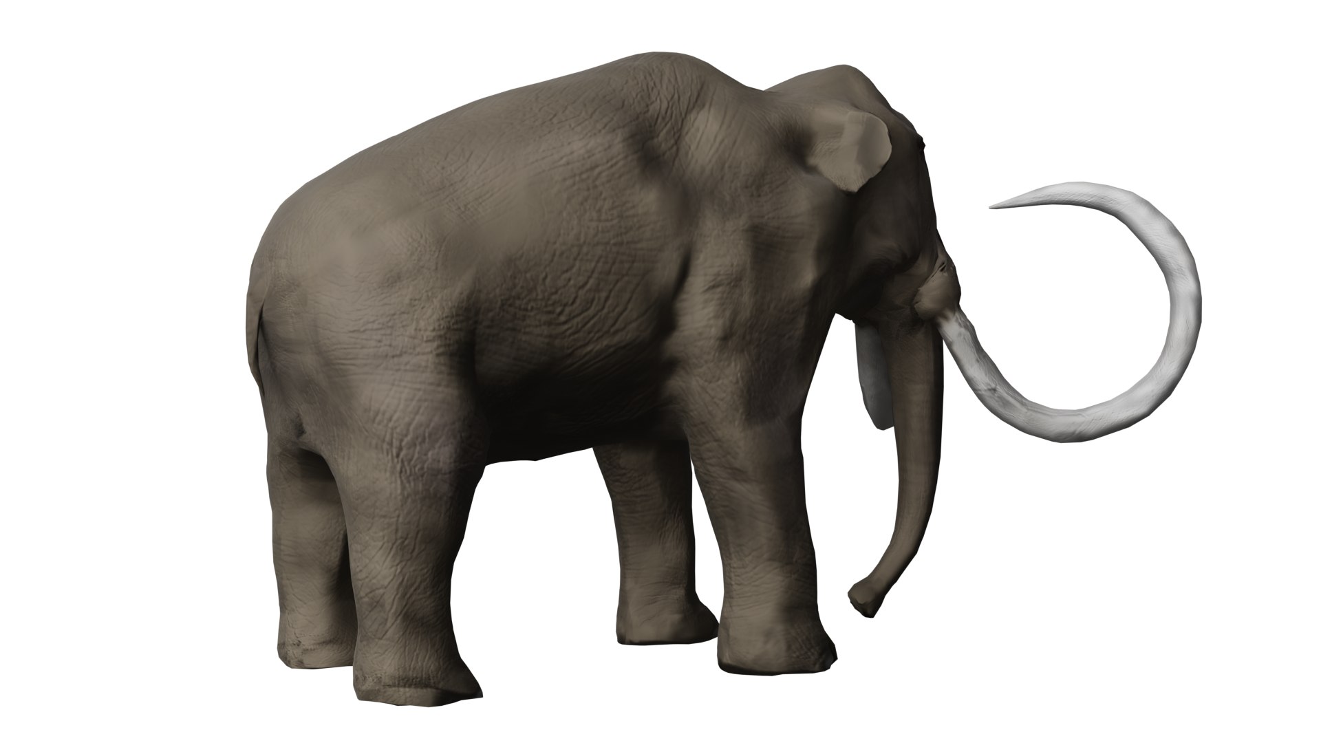 Columbian Mammoth 3D Model - TurboSquid 1801040