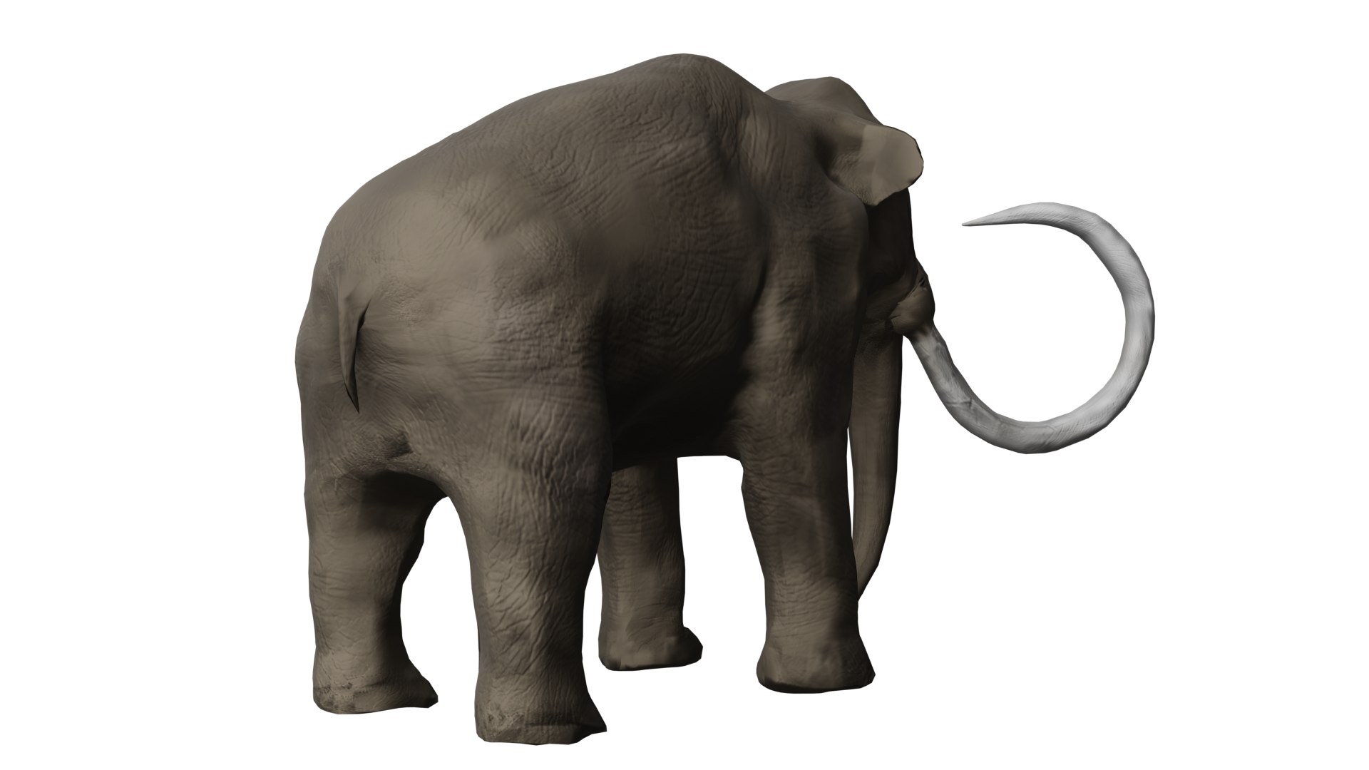 Columbian Mammoth 3D Model - TurboSquid 1801040