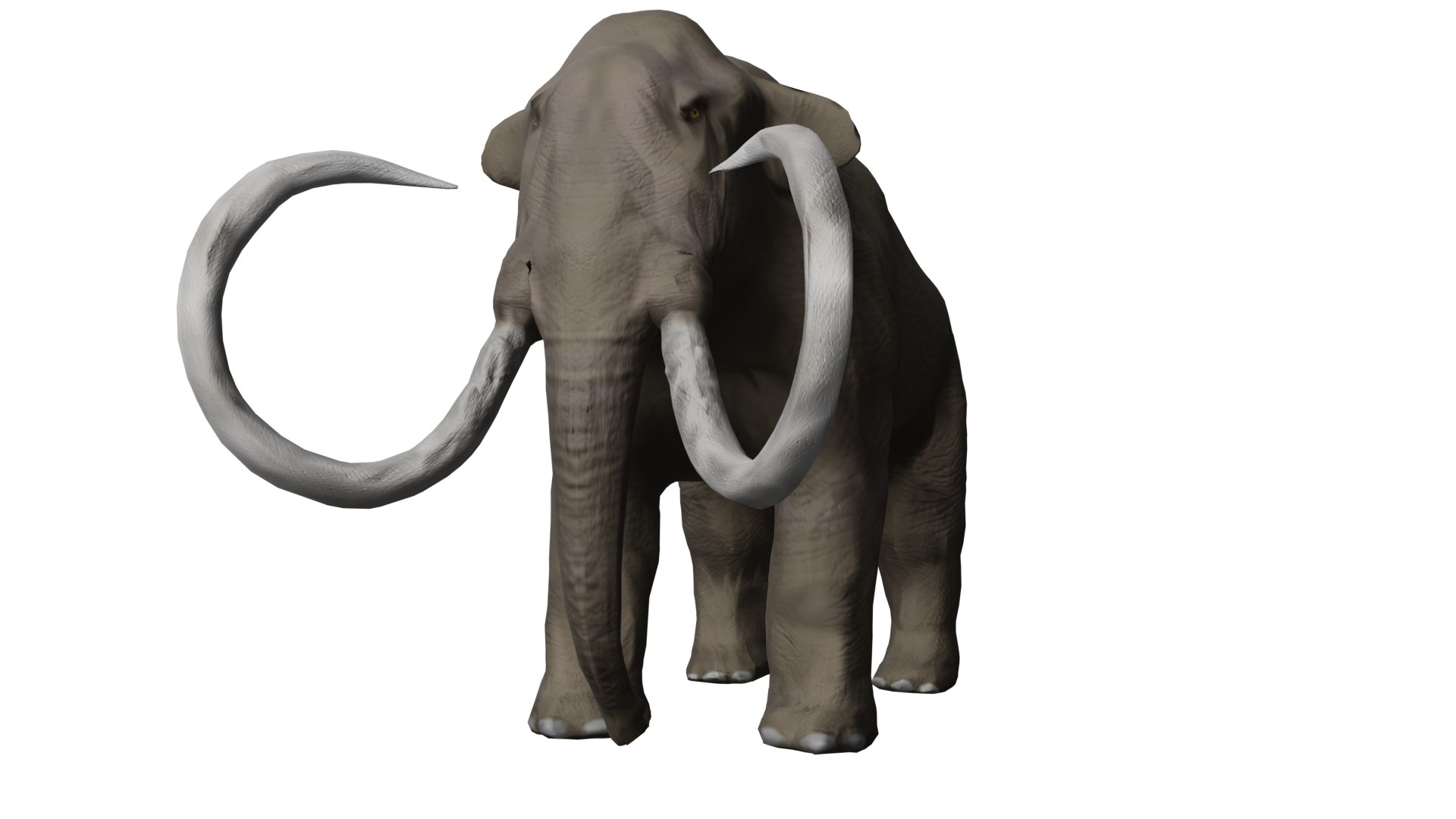 Columbian Mammoth 3D Model - TurboSquid 1801040