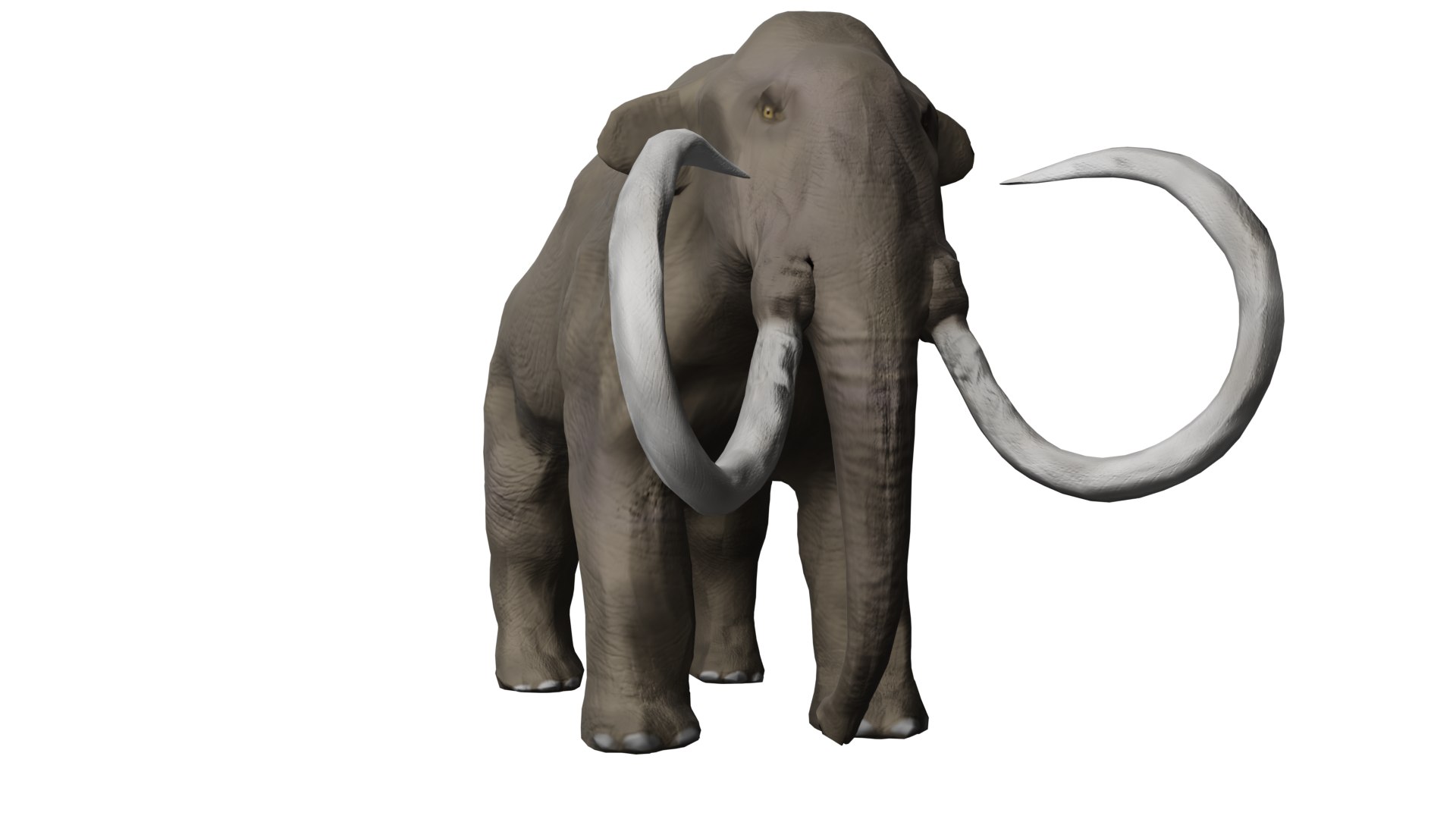 Columbian Mammoth 3D Model - TurboSquid 1801040