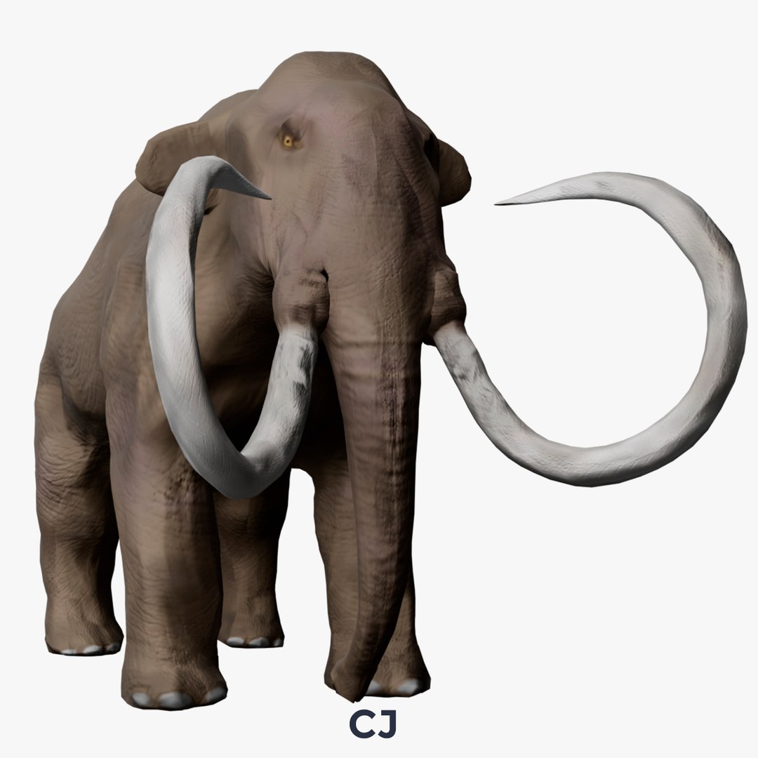 Columbian Mammoth 3D Model - TurboSquid 1801040