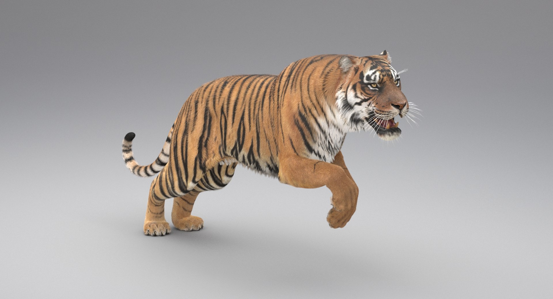 3D Realistic Tiger Fur Ornatrix Model - TurboSquid 1229847