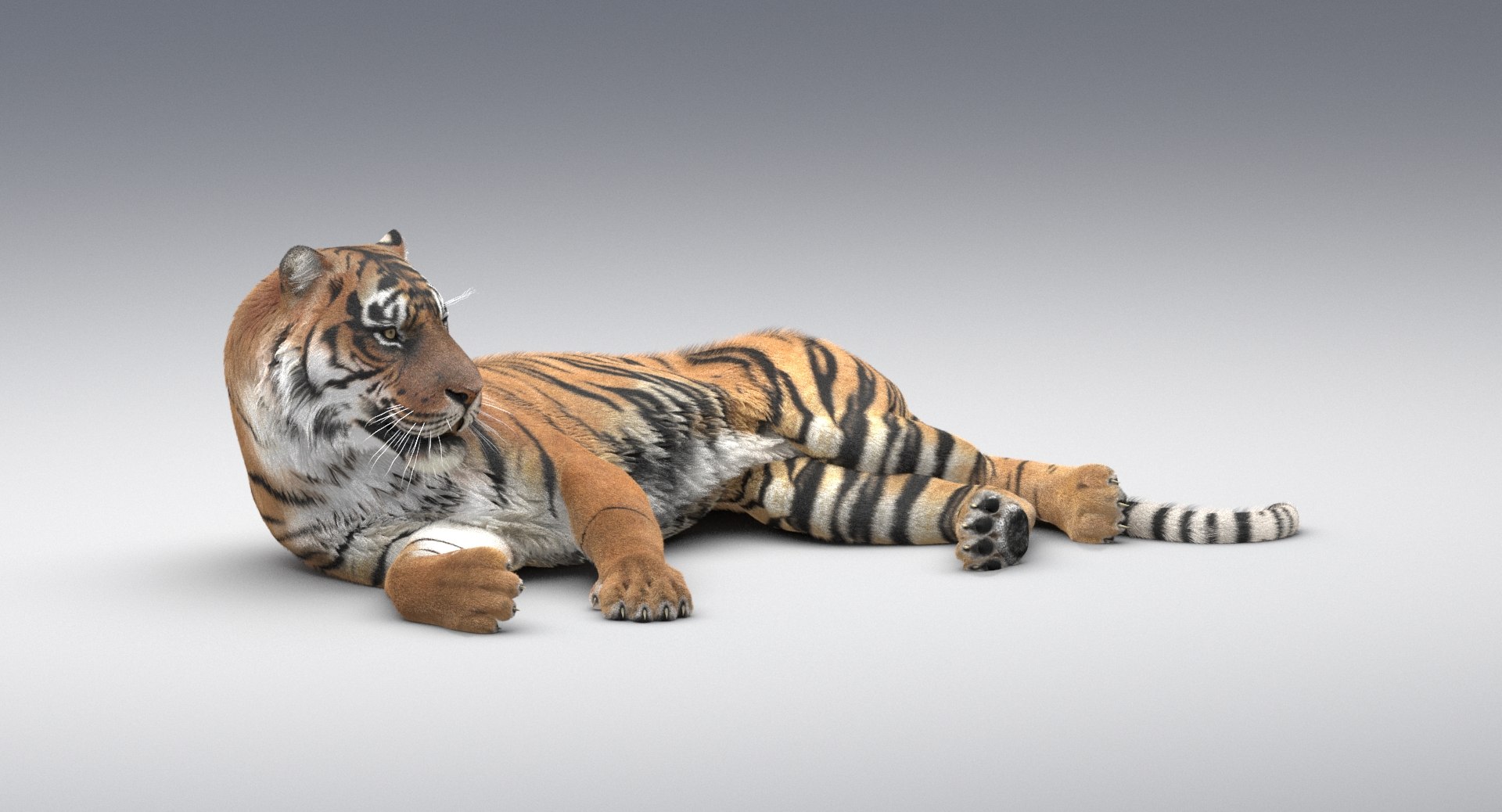 3D realistic tiger fur ornatrix model - TurboSquid 1229847